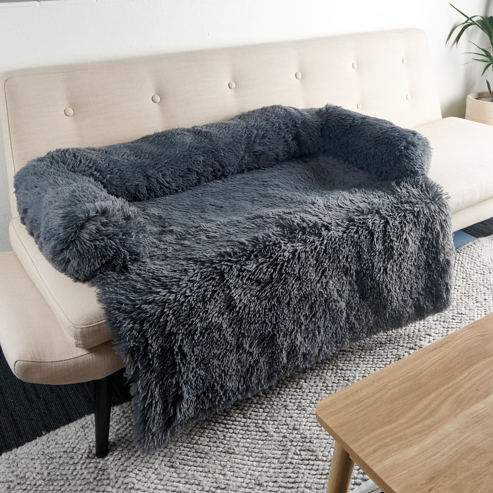 New styles for pets on the way! – petsnstuff.com.au